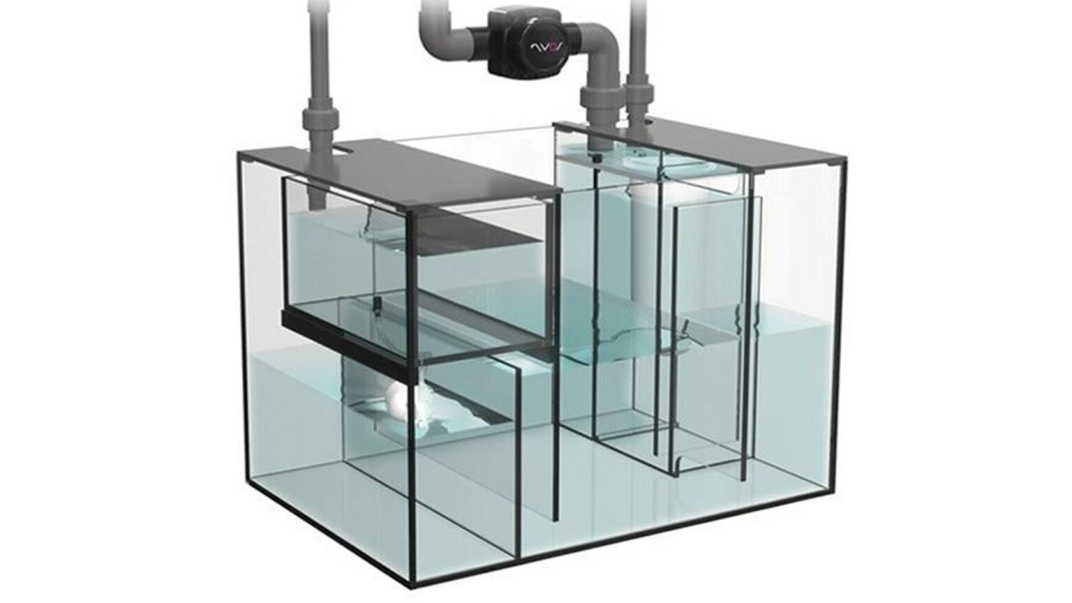 Comment choisir le système de décantation pour un aquarium récifal ...