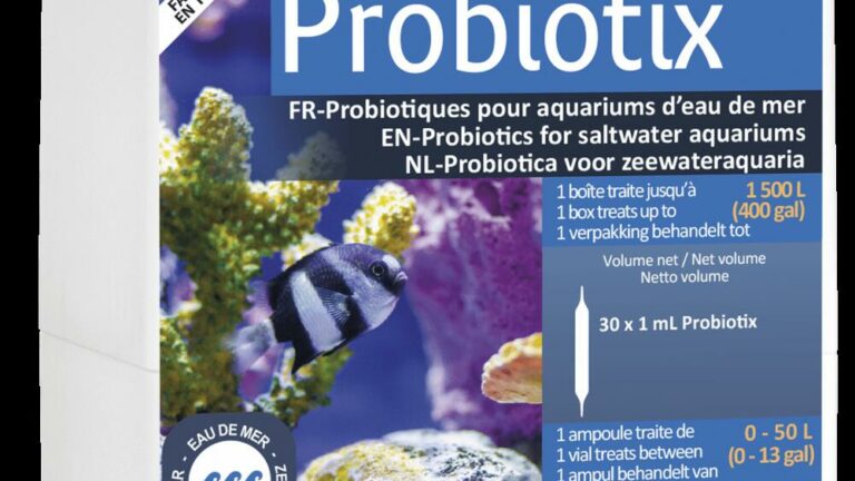 Les probiotiques pour poissons d'aquarium récifal - Monrecif.fr